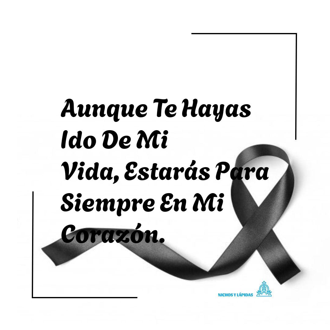 Aunque Te Hayas Ido De Mi Vida, Estarás Para Siempre En Mi Corazón. - 2025