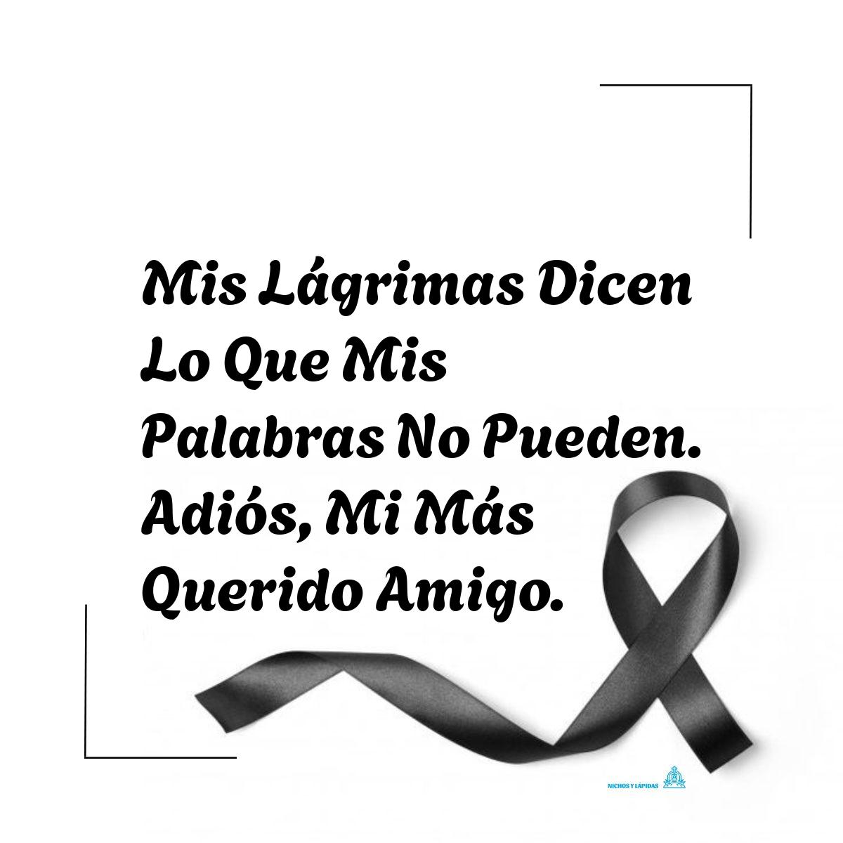 Mis Lágrimas Dicen Lo Que Mis Palabras No Pueden. Adiós, Mi Más Querido ...